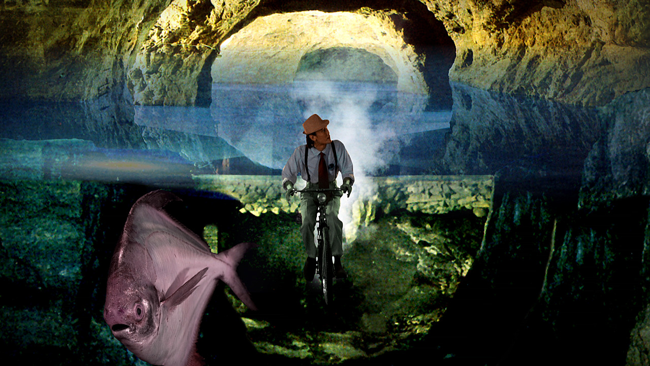 Wong Hoy Cheong | Doghole | The Guggenheim Museums and Foundation