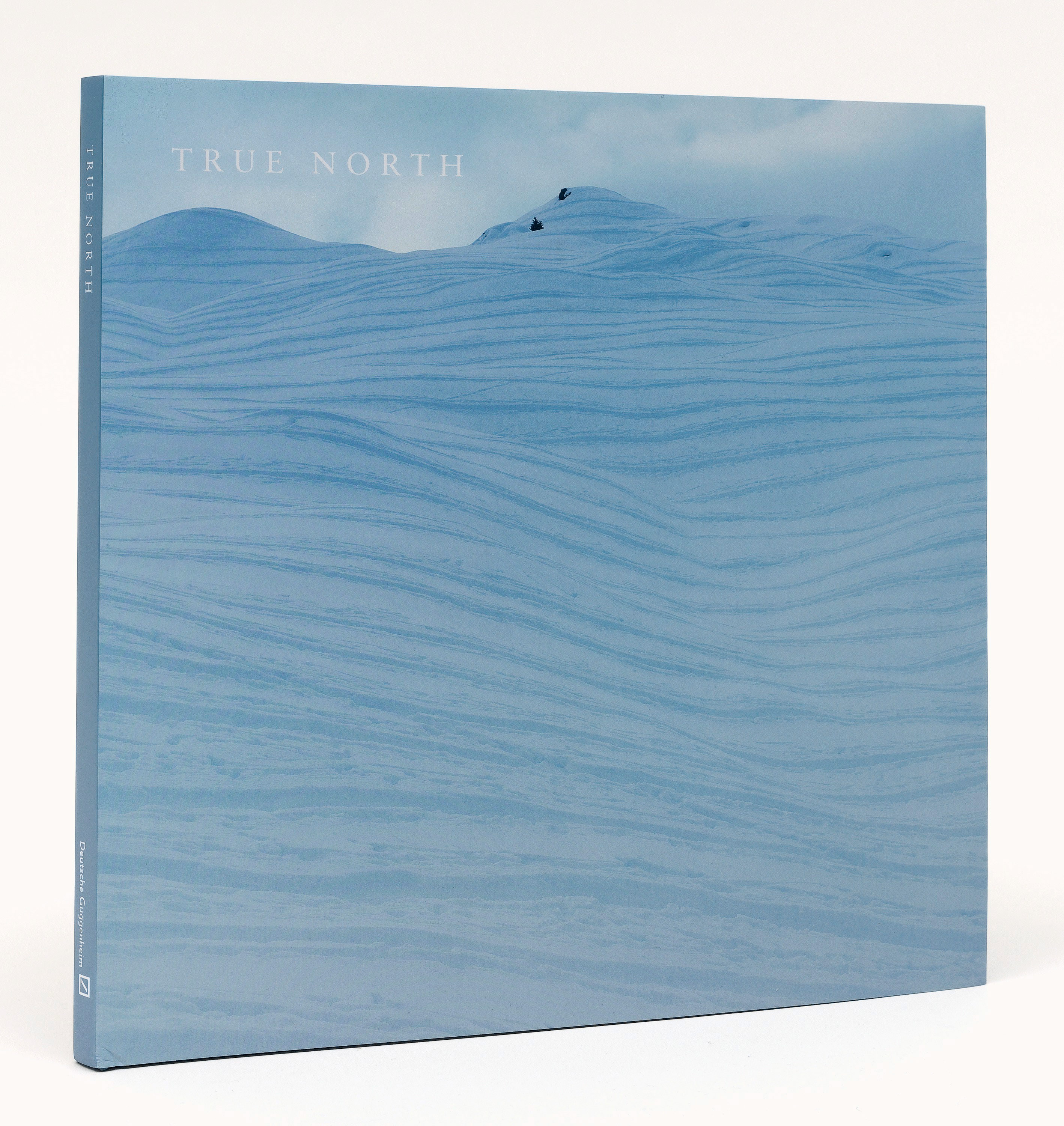 True North | The Guggenheim Museums and Foundation