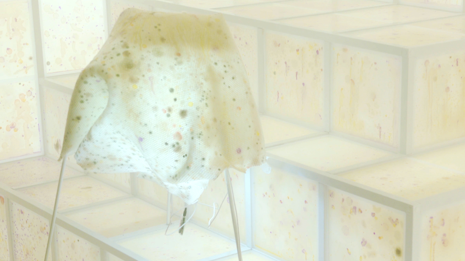 The Hugo Boss Prize 2016: Anicka Yi, Life Is Cheap | The Guggenheim ...